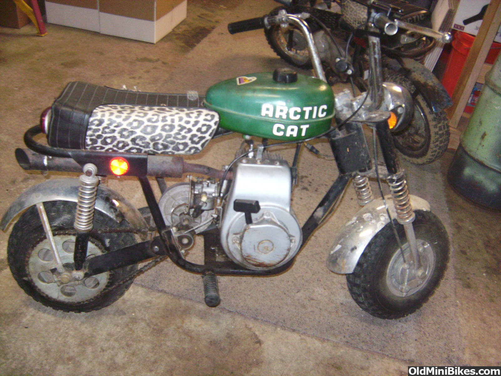 My new Arctic cats | OldMiniBikes.com