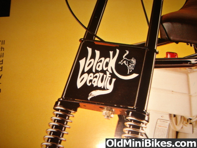 Black beauty | OldMiniBikes.com