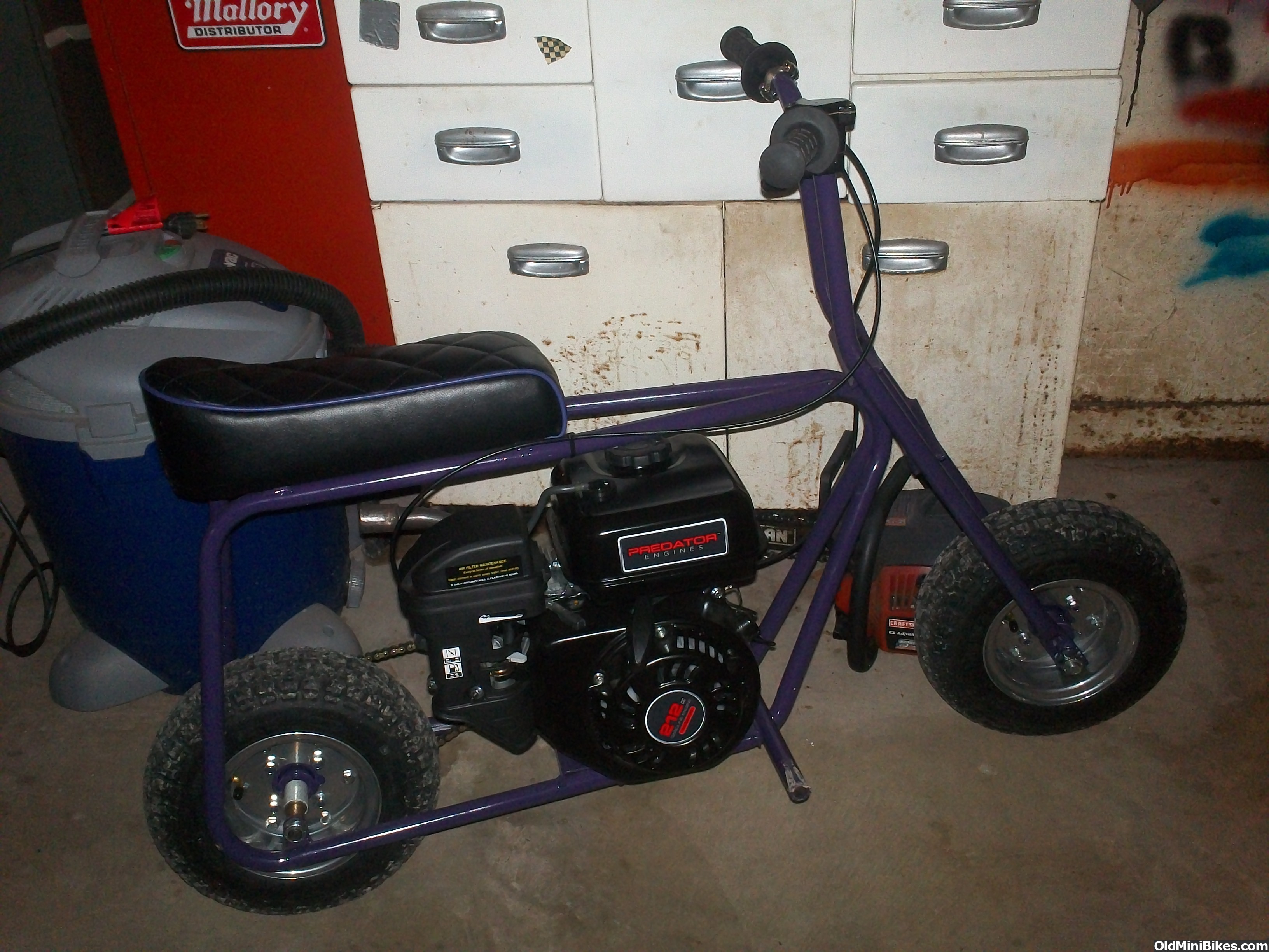 Timmy's Fleet Update | OldMiniBikes.com