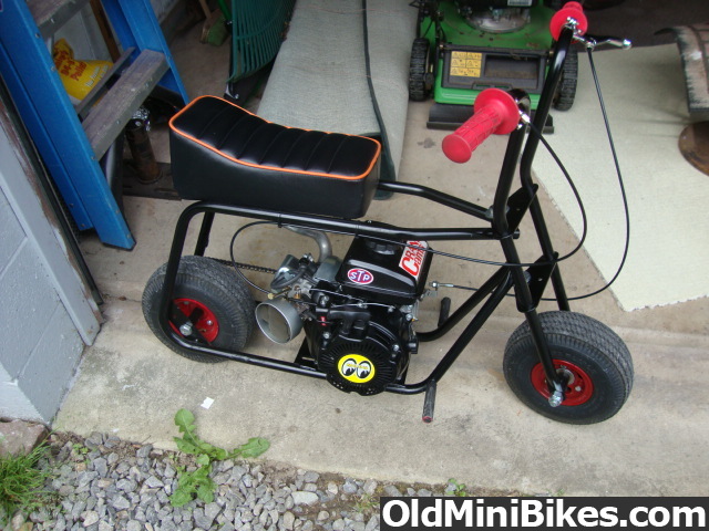 Timmy's Toad Update | OldMiniBikes.com