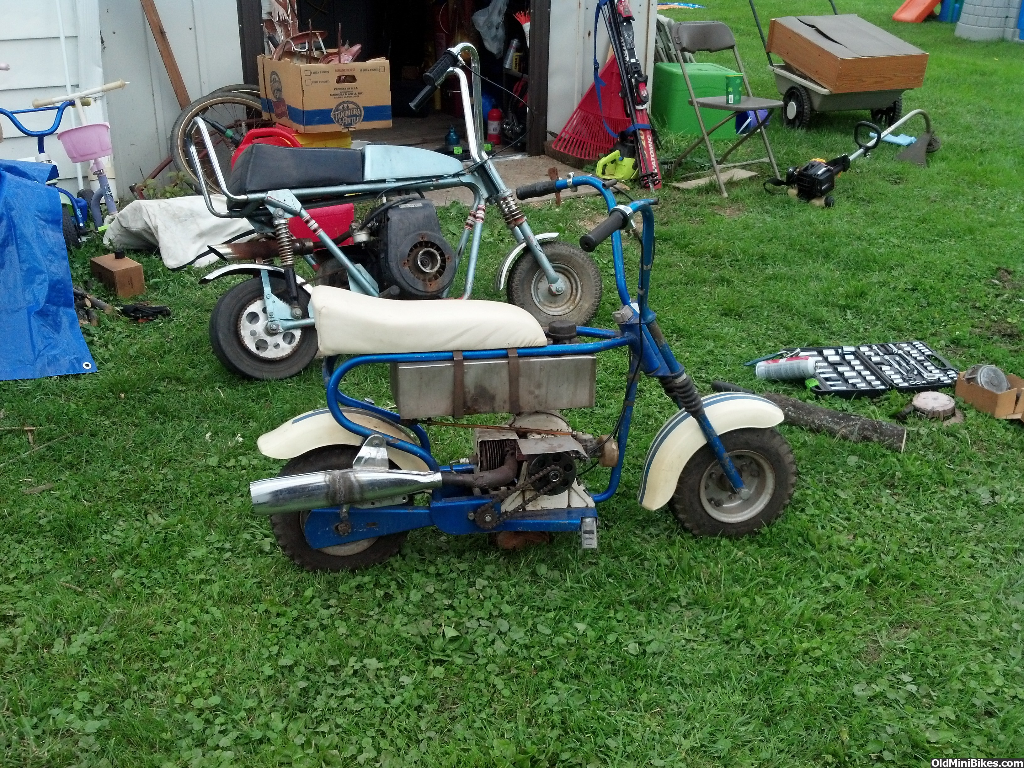 Fox Campus | OldMiniBikes.com