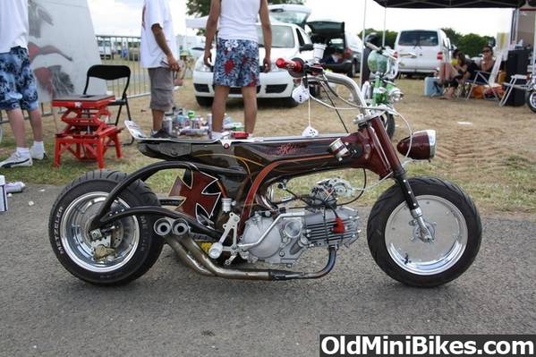 Freak-Bikes, Homemades, Customs, Frankenbikes & Oddballs | Page 193 | OldMiniBikes.com