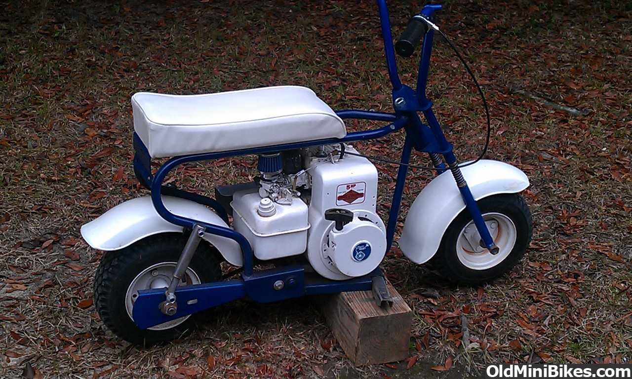 Bringing A Raptor Back Online | Page 2 | OldMiniBikes.com