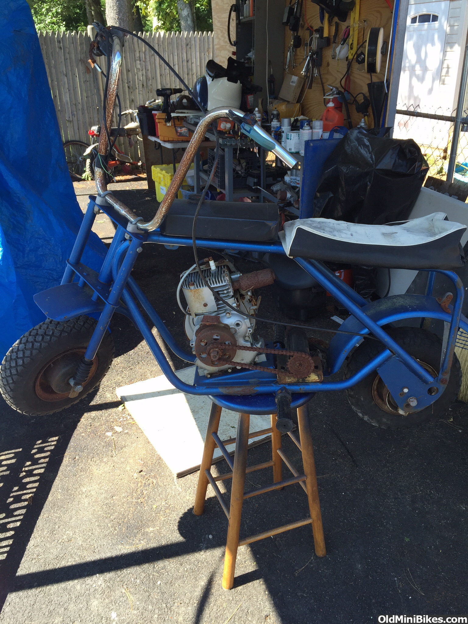 The Homely MTD | OldMiniBikes.com