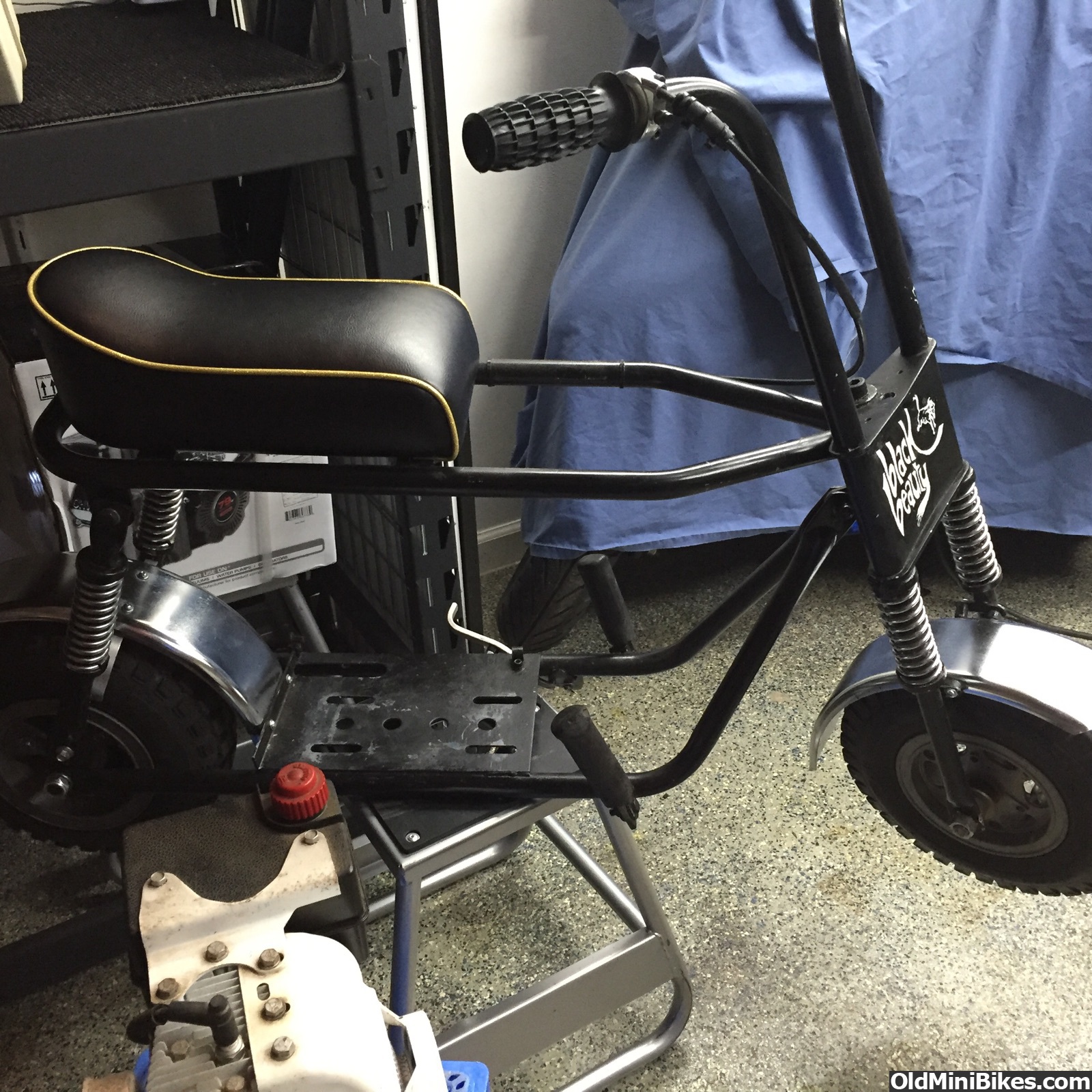 We loved our Stellar mini bikes | OldMiniBikes.com