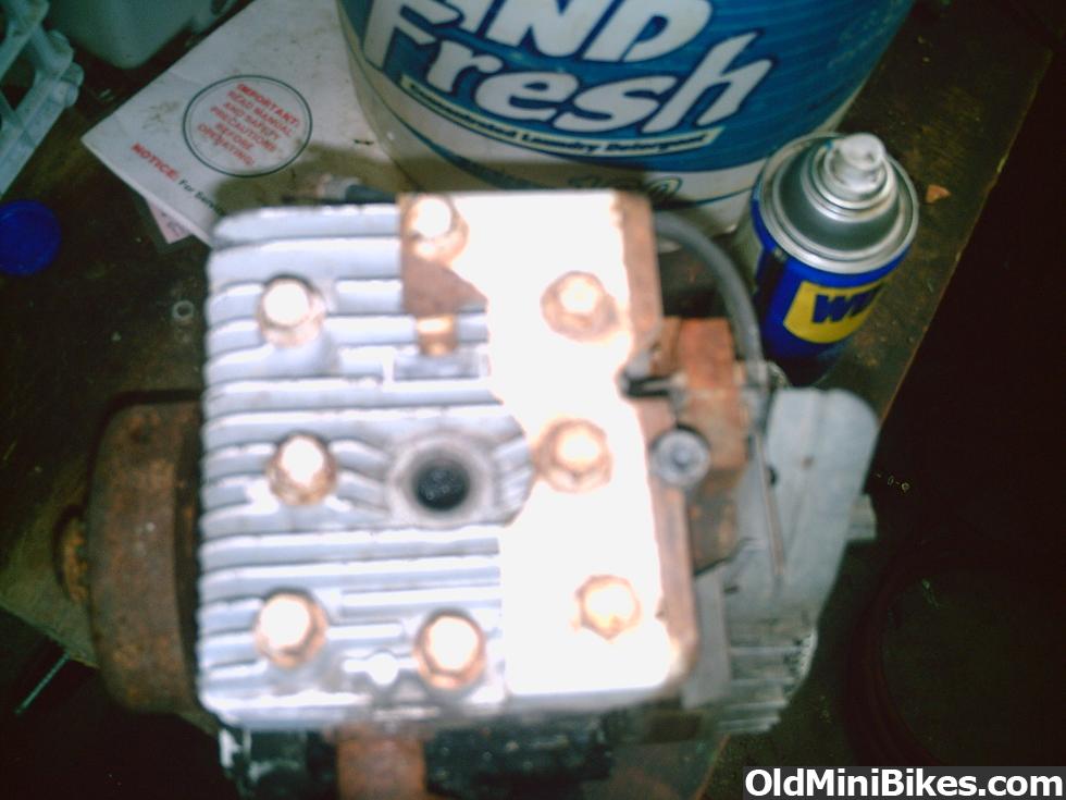 tecumseh engine question | OldMiniBikes.com