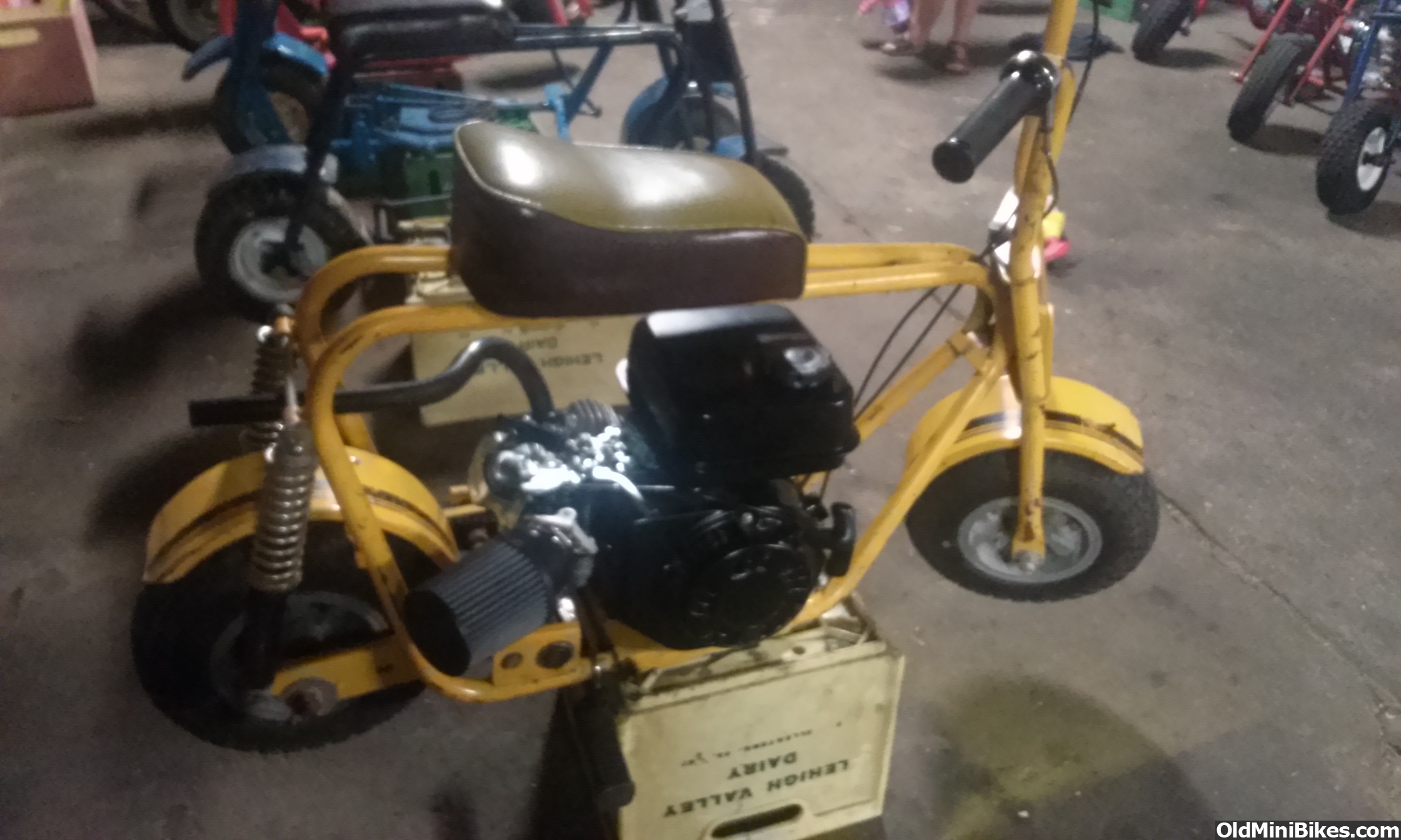 Cheeftah mb 1400 find | OldMiniBikes.com