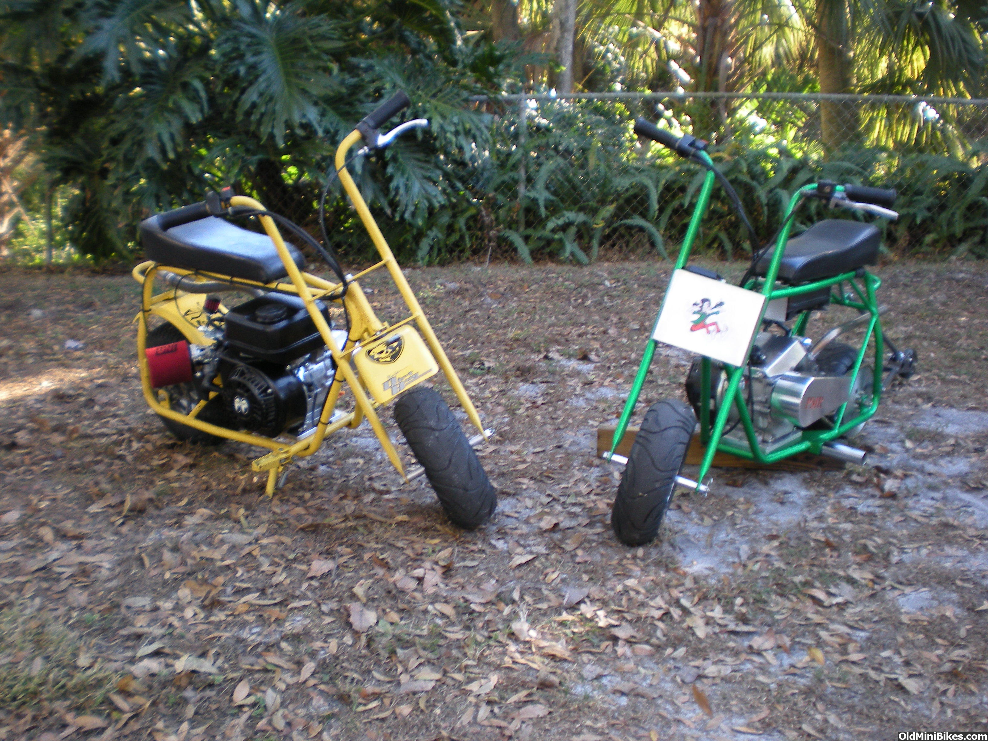 Tecumseh pull start | OldMiniBikes.com