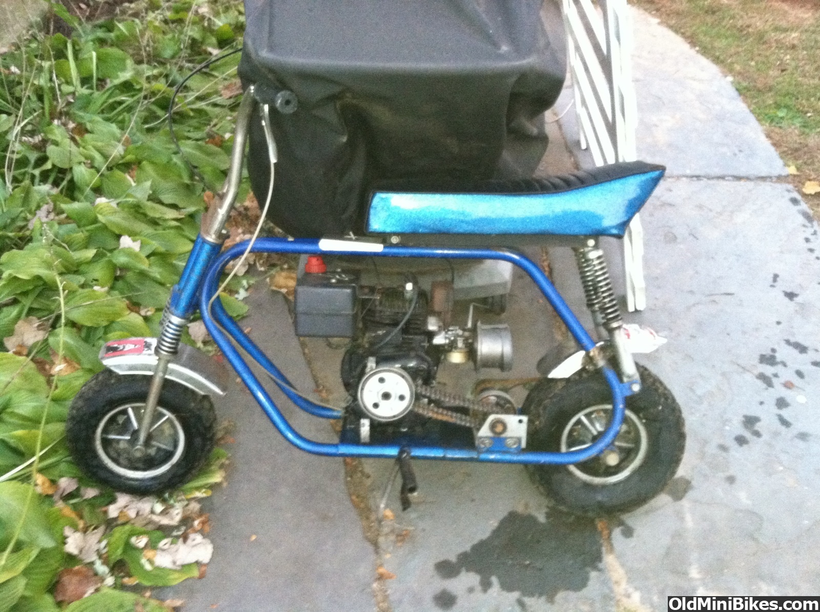 Heres one for the CAT GUYS!!!!!!!!!! | OldMiniBikes.com