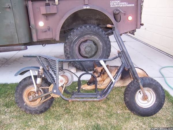 I finally got one! BEARKAT TWISTER!! What year is this one? This sucker is HUGE! | OldMiniBikes.com