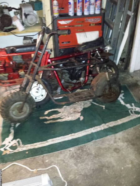 Stellar Black Beauty Project | OldMiniBikes.com