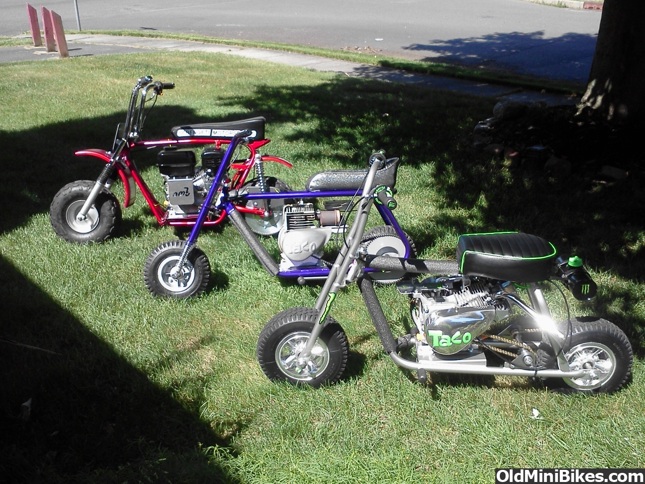 Windber Minibike Reunion 2013 | Page 56 | OldMiniBikes.com