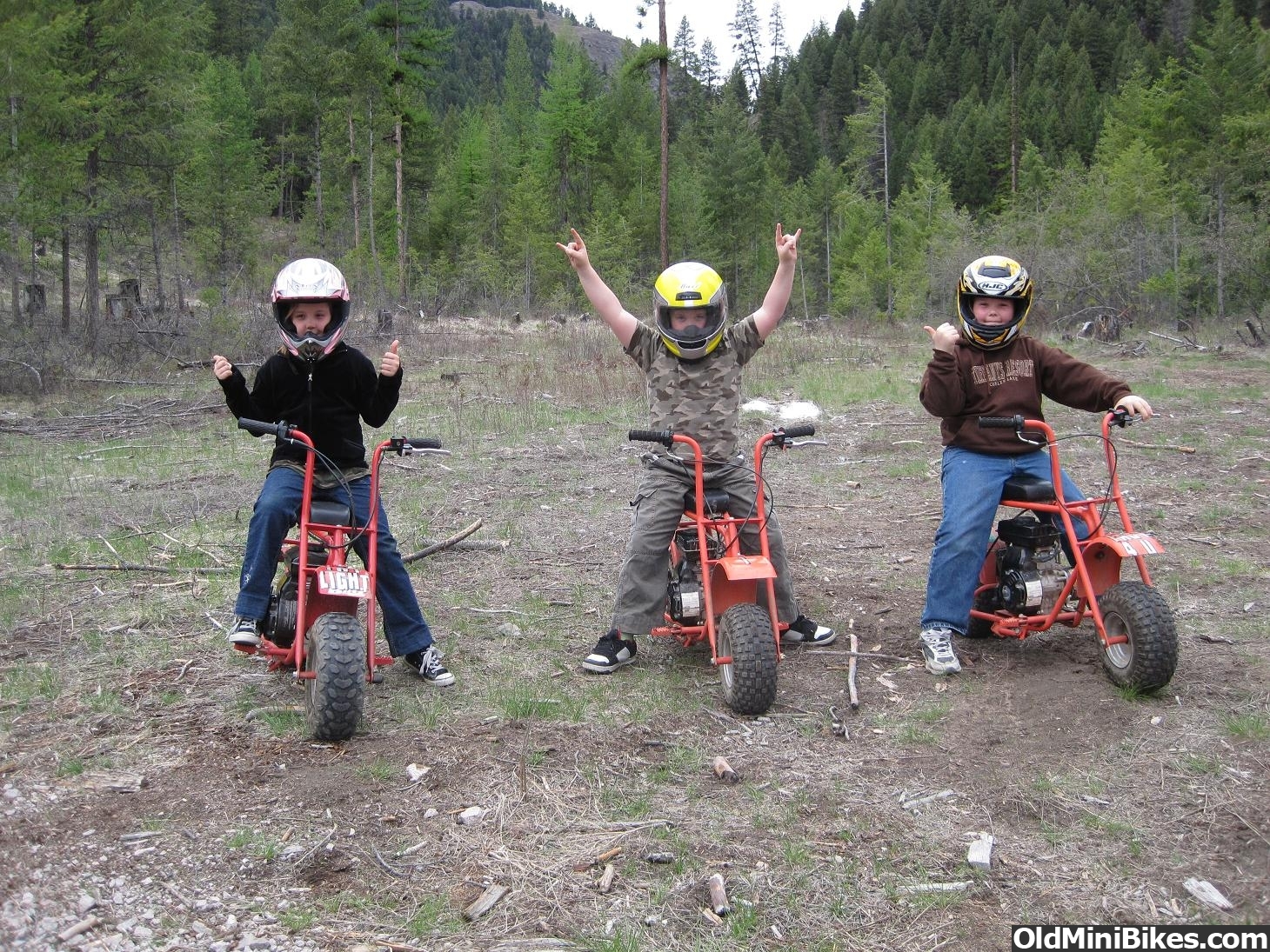 Triplets got their DBs! (Finally) | OldMiniBikes.com