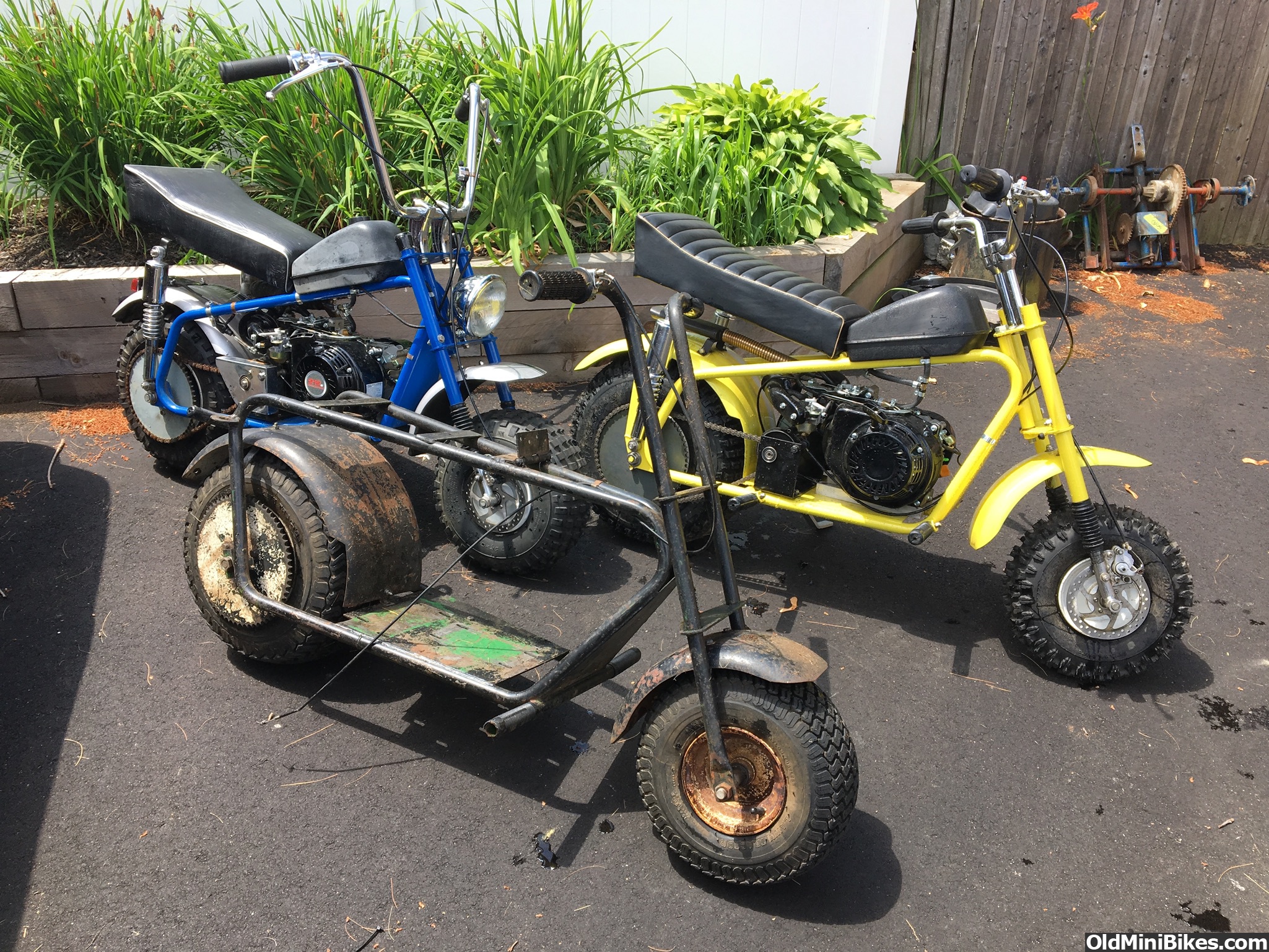 Heald VT1 or VTCL1.... VTCL-ONE get it VTCLONE | OldMiniBikes.com