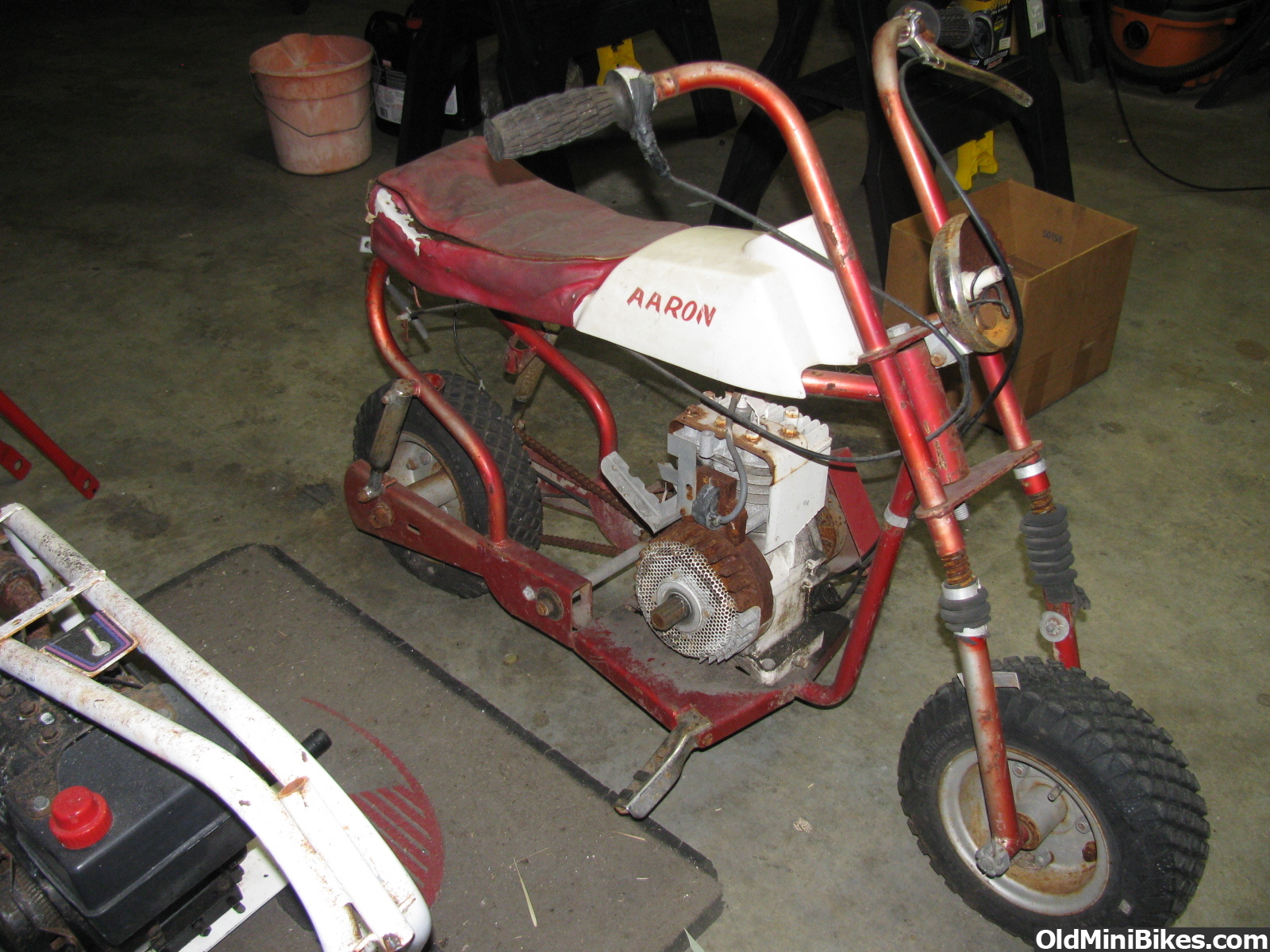 Strange Fox campus?? | OldMiniBikes.com