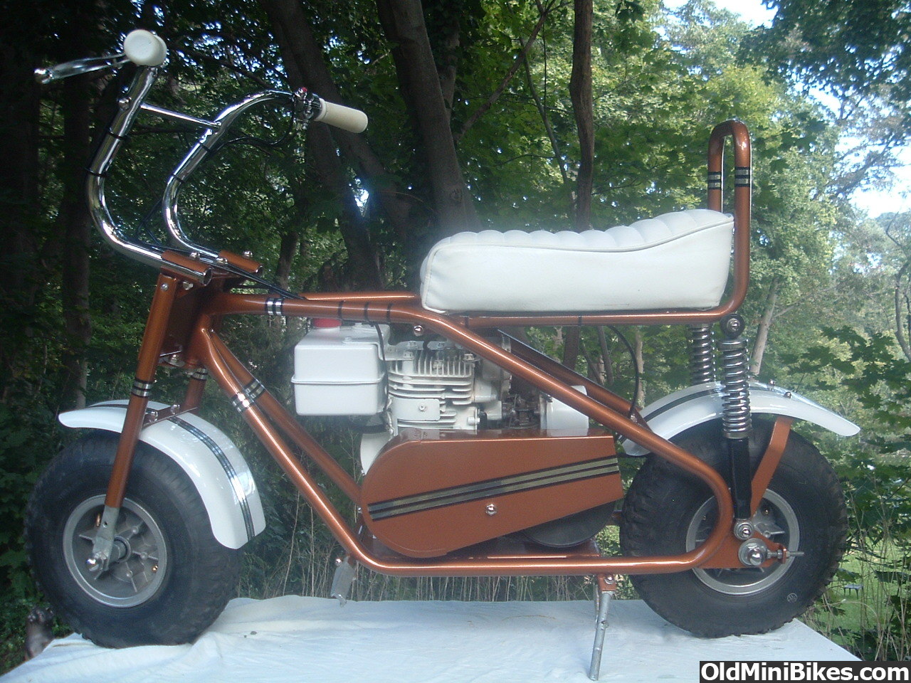 "Before and After" pics | Page 3 | OldMiniBikes.com