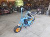 Bird Golden Pinto for sale. | OldMiniBikes.com