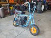 Bird Golden Pinto for sale. | OldMiniBikes.com