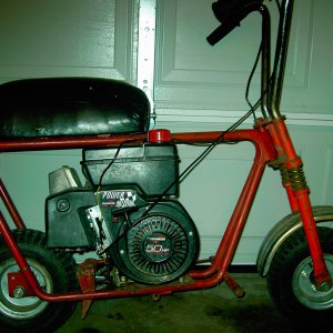 Bird | OldMiniBikes.com