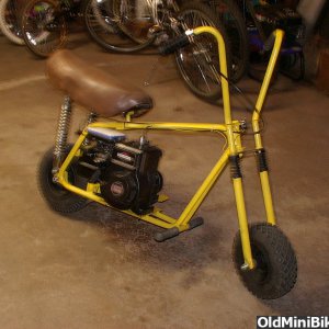 Bird - Duck | OldMiniBikes.com