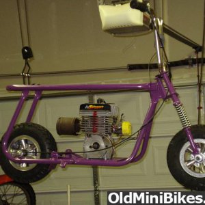 Zebra | OldMiniBikes.com