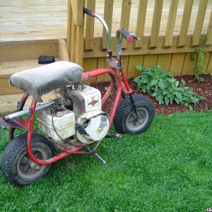 cat 300x | OldMiniBikes.com