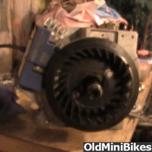 briggs animal | OldMiniBikes.com