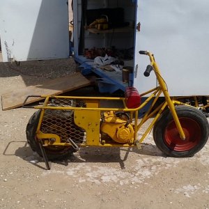 mule | OldMiniBikes.com