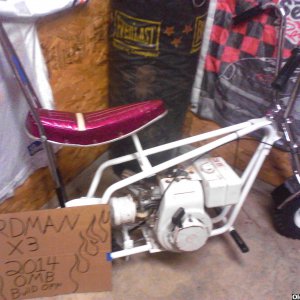 bird spider | OldMiniBikes.com