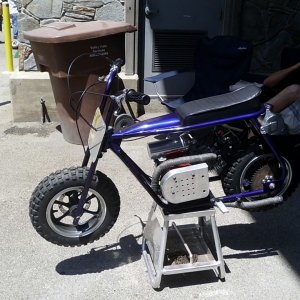 taco 65 mini bike | OldMiniBikes.com