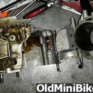 clone_2 | OldMiniBikes.com