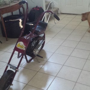 1970 Cat Duster | OldMiniBikes.com