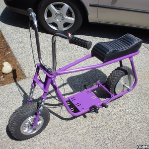 Zebra | OldMiniBikes.com