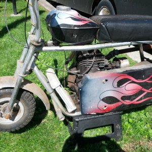 Chrome Toad | OldMiniBikes.com