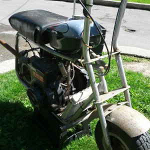 Chrome Toad | OldMiniBikes.com