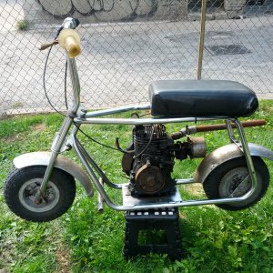 Chrome Toad | OldMiniBikes.com