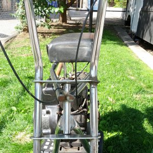 Chrome Toad | OldMiniBikes.com