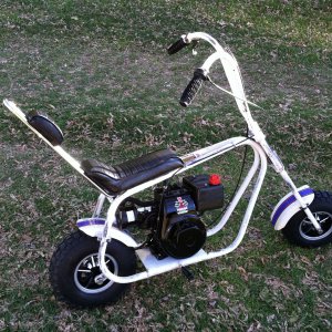 74' JCPenney's #Cat# Duster Chopper Survivor | OldMiniBikes.com