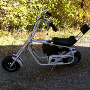 74' JCPenney's (Cat) Duster Chopper Survivor | OldMiniBikes.com