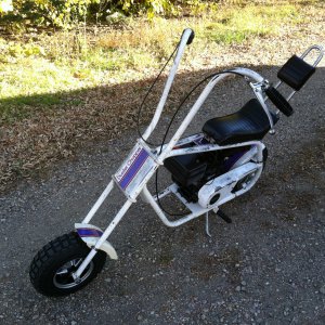 74' JCPenney's (Cat) Duster Chopper Survivor | OldMiniBikes.com