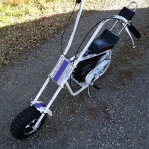74' JCPenney's (Cat) Duster Chopper Survivor | OldMiniBikes.com