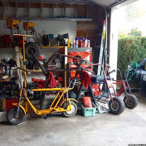 Sears Roper and 3 Stellar's | OldMiniBikes.com