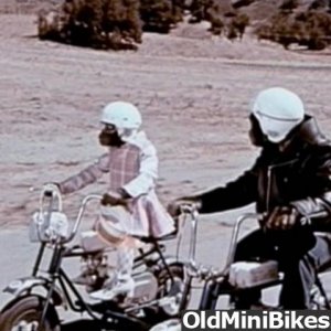 Lancelot link secret chimp | OldMiniBikes.com