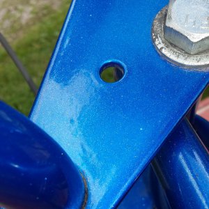 Horny Toad | OldMiniBikes.com