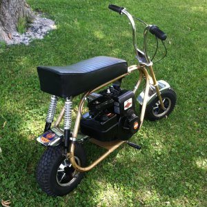 69' Cat 400X Semi-Survivor | OldMiniBikes.com
