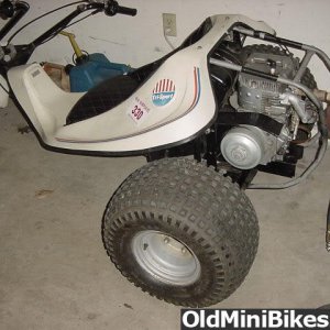 Tri Sport | OldMiniBikes.com