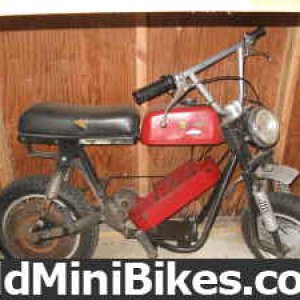 Fox??? | OldMiniBikes.com