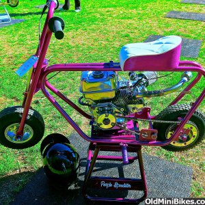 purple_speedster | OldMiniBikes.com