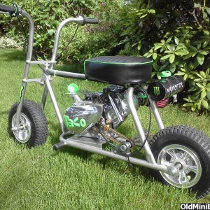 Taco Frijole | OldMiniBikes.com
