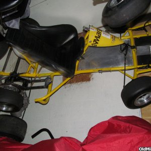 Margay cheetah | OldMiniBikes.com